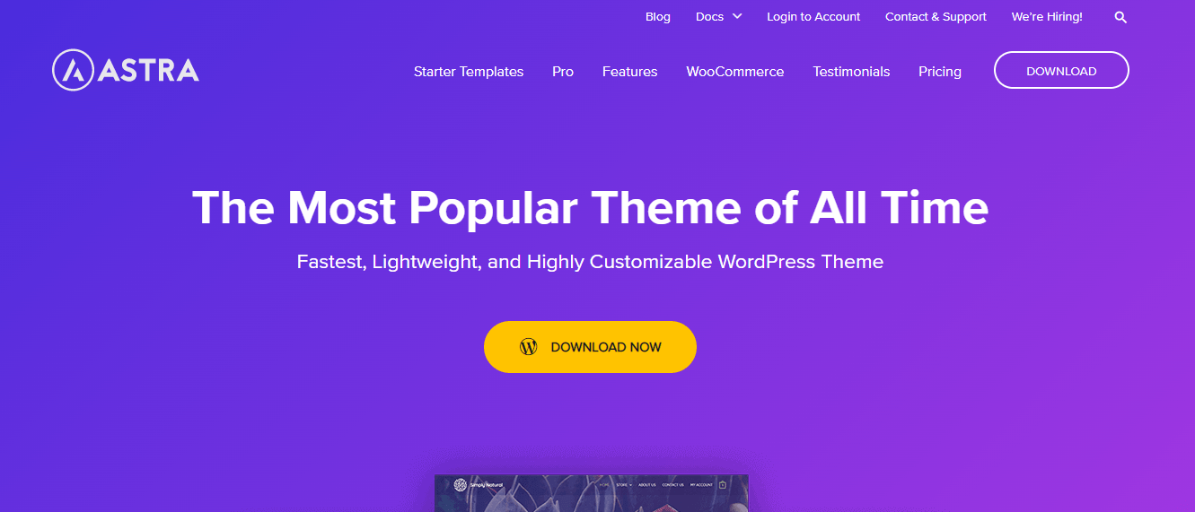 11 Best WordPress Blog Themes To Use In 2025