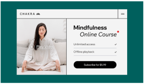 Top 12 Beginner Website Ideas For You In 2024