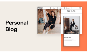 Top 12 Beginner Website Ideas For You In 2024